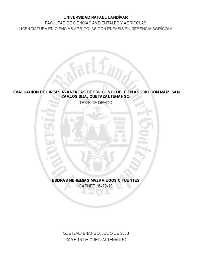 Evaluación de líneas avanzadas de frijol voluble en asocio con maíz en ...