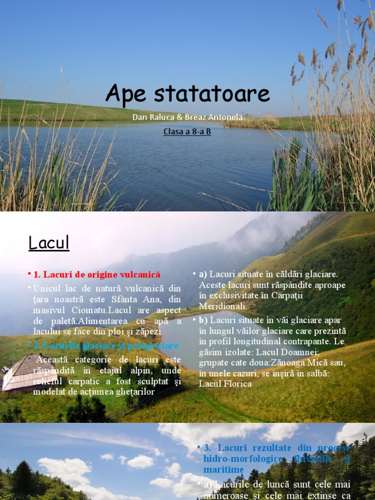 Proiect Biologie_ Ape Statatoare | PDF