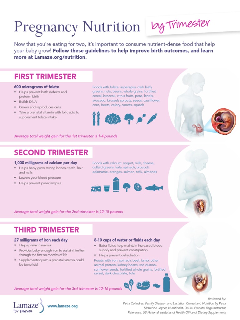 Nutrition by Trimester Handout - V7 - FINAL | PDF | Pregnancy | Foods