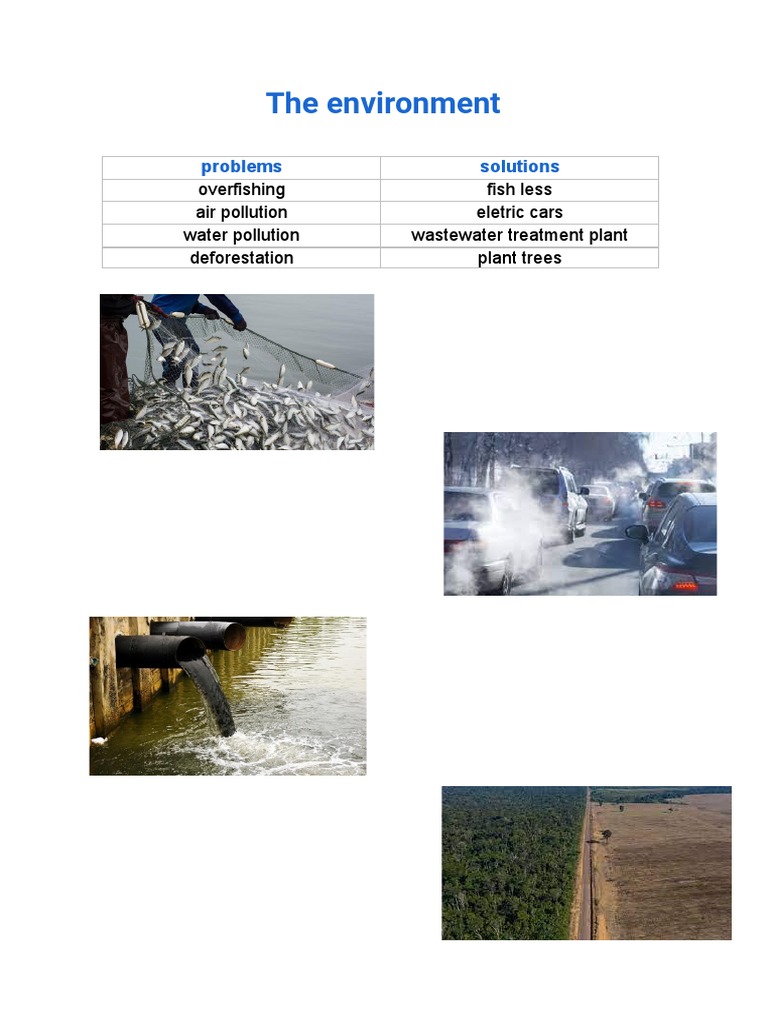 The Environment | PDF