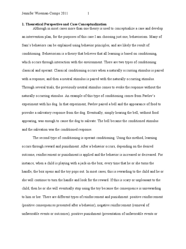 Theoretical Perspective and Case Conceptualization | PDF | Attention Deficit Hyperactivity ...