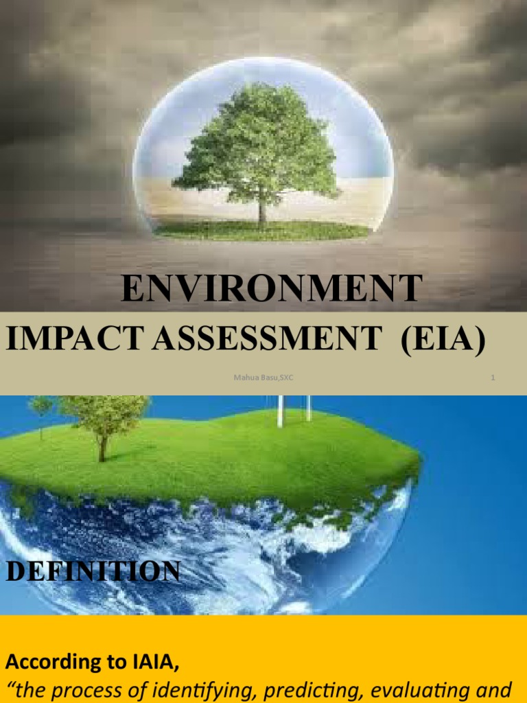Environment Impact Assessment Overview | PDF