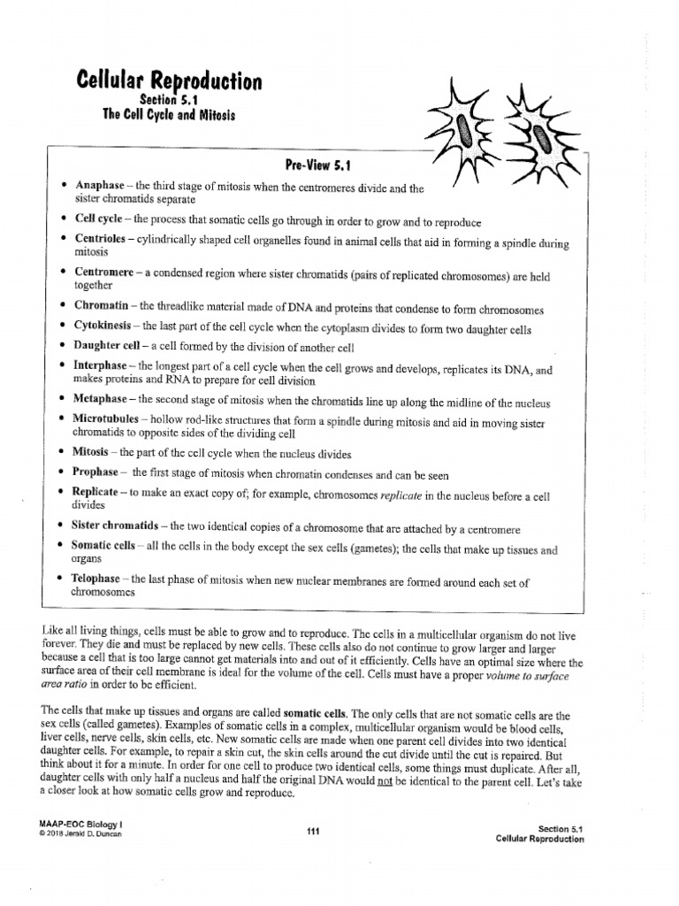 Section 5 | PDF