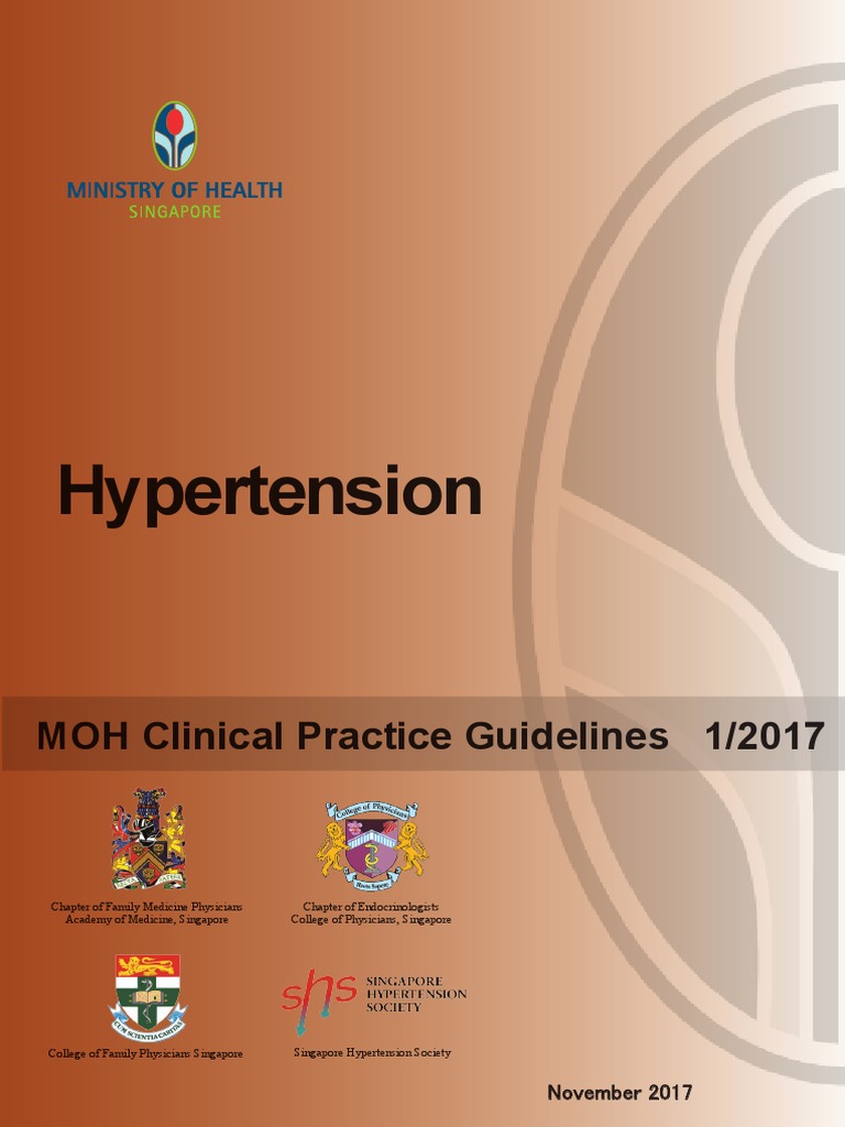 CPG - Hypertension Booklet - Nov 2022 | PDF | Hypertension | Blood Pressure