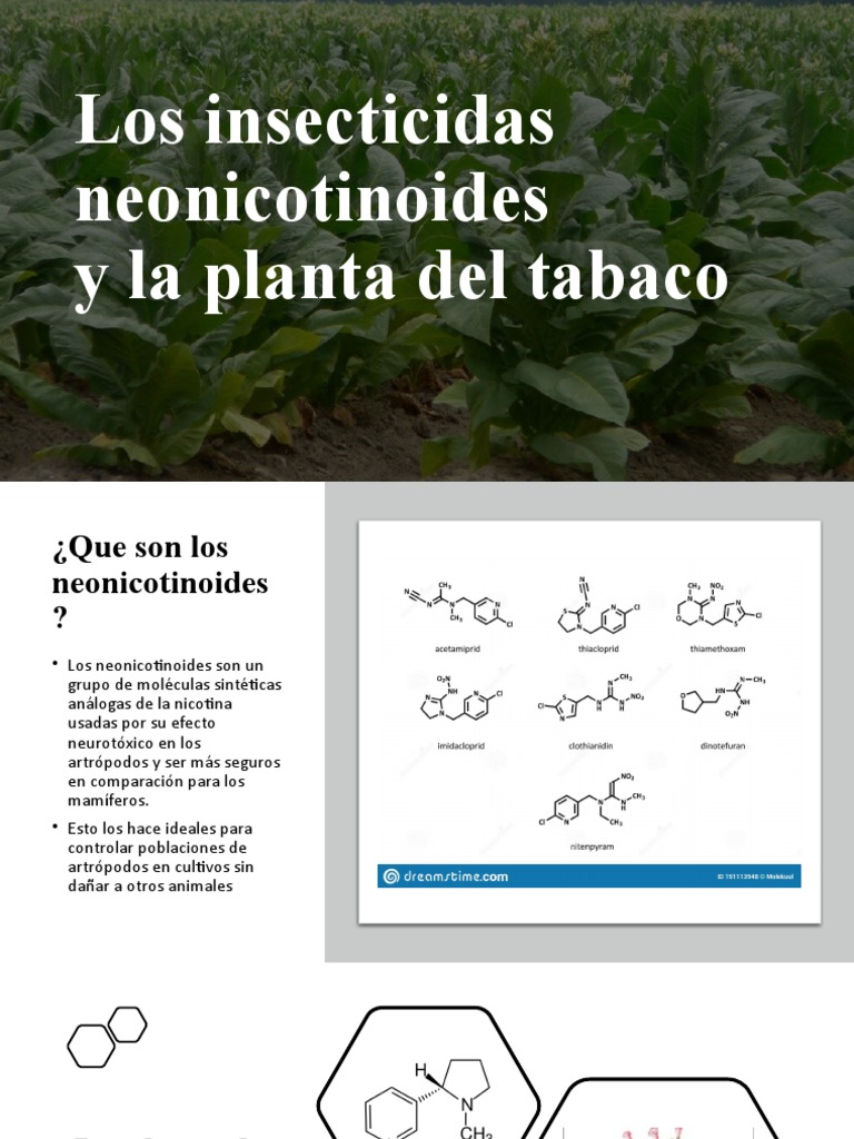 Neonicotinoides y La Planta Del Tabaco Bioq | PDF