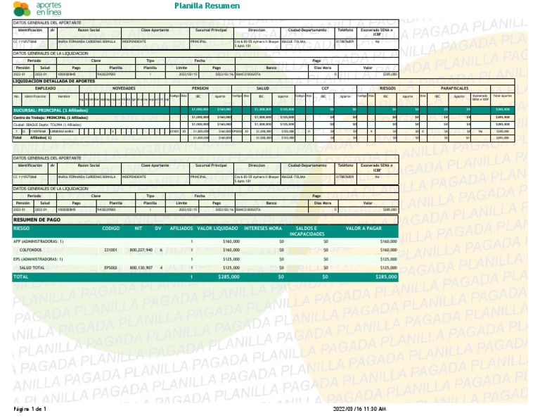 Planilla Seguridad Social 1 | PDF | Compensación laboral | Ingresos