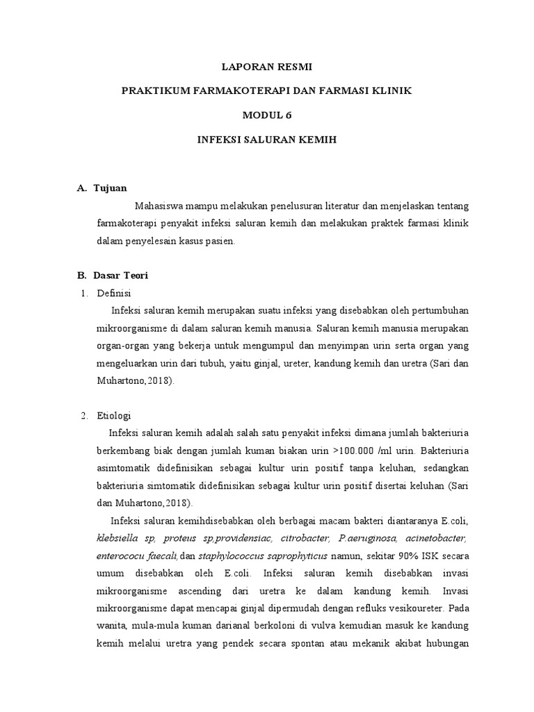 Laporan Resmi Infeksi Saluran Kemih Kel.5 Gol.3 Fix | PDF