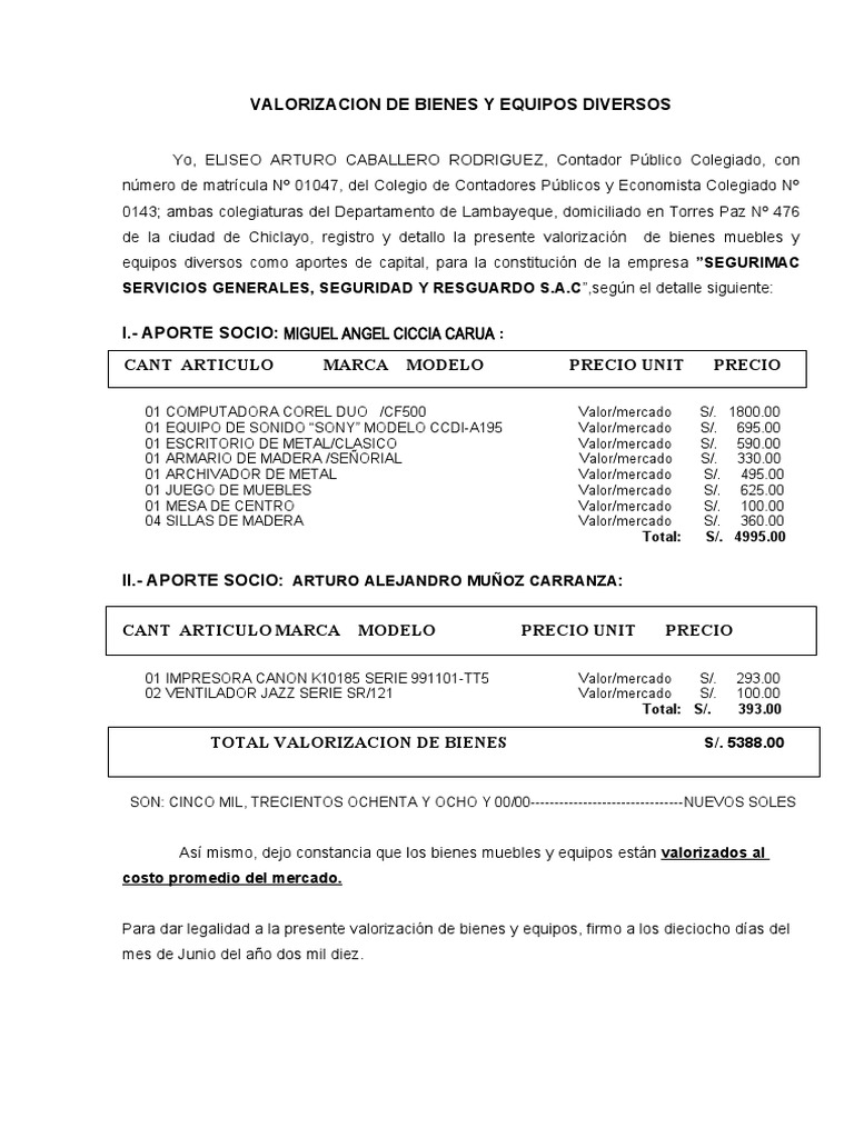 Valorización de Bienes y Equipos 2023 | PDF | Tecnología | Historia