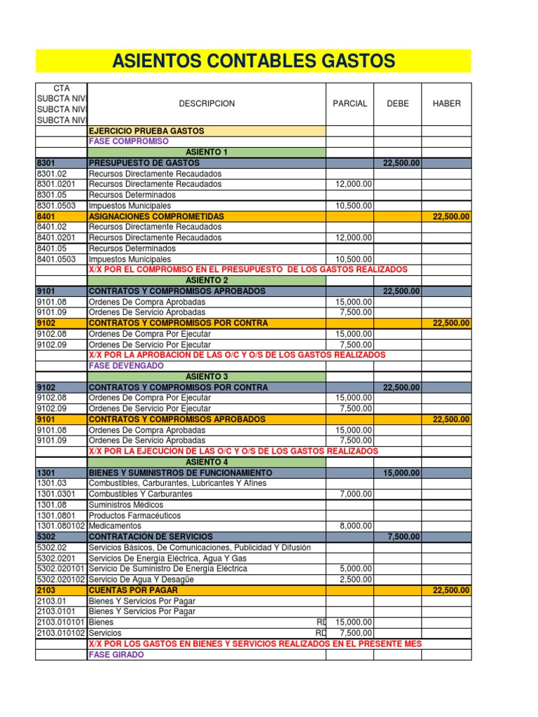 Registro contable de los gastos realizados durante un ejercicio de prueba | PDF | Presupuesto ...