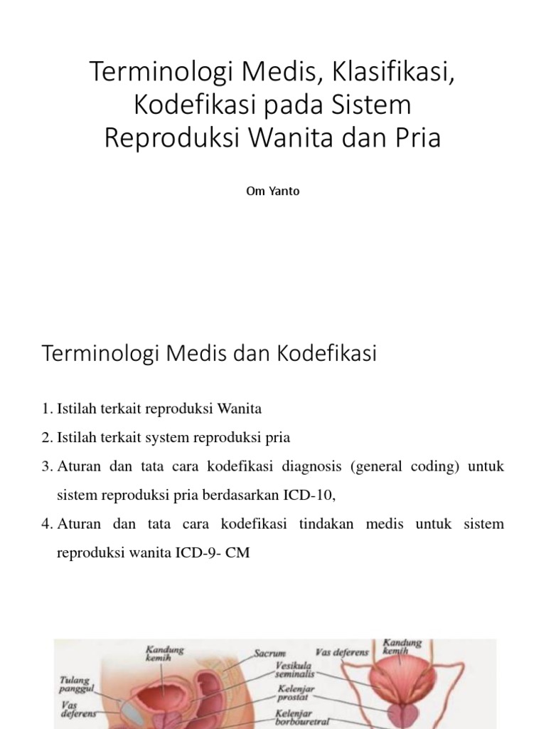 Terminologi Medis, Klasifikasi, Kodefikasi Pada Sistem | PDF