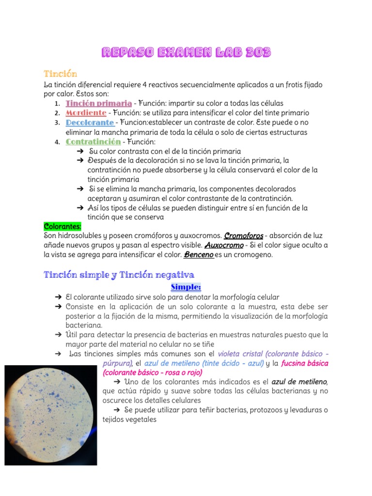 Repaso Examen LAB 303 | PDF | Tinción | Las bacterias