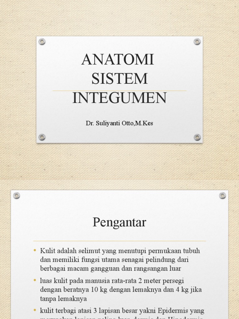 Anatomi Sistem Integumen | PDF