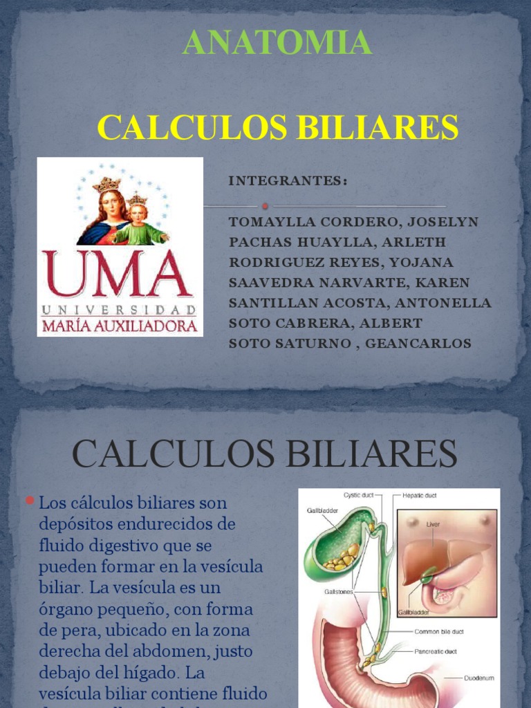 Cálculos Biliares: Síntomas y Tratamiento | PDF | Bilis | Vesícula biliar