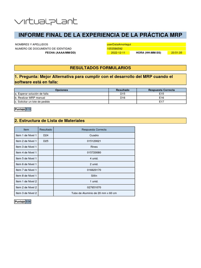 Informe Final MRP | PDF