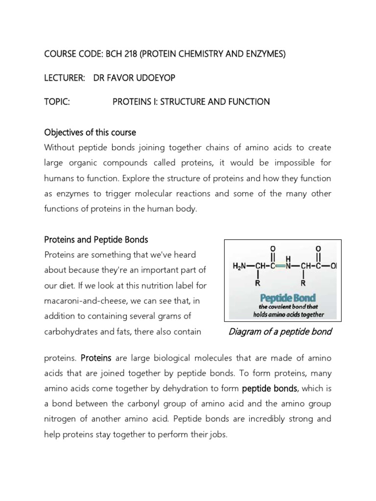 BCH 218-Proteins Structure and Function 1 | Descargar gratis PDF | Proteins | Amino Acid