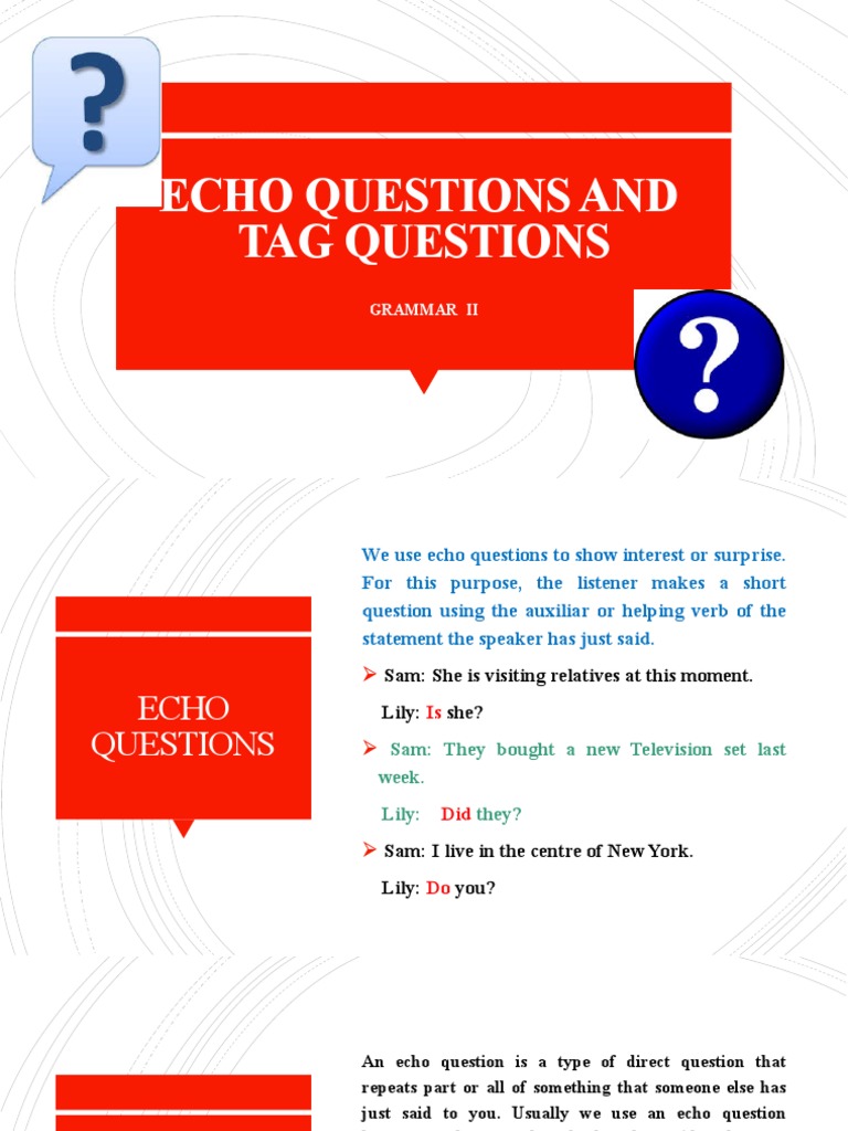 ECHO AND TAG QUESTIONS | PDF | Question | Linguistics