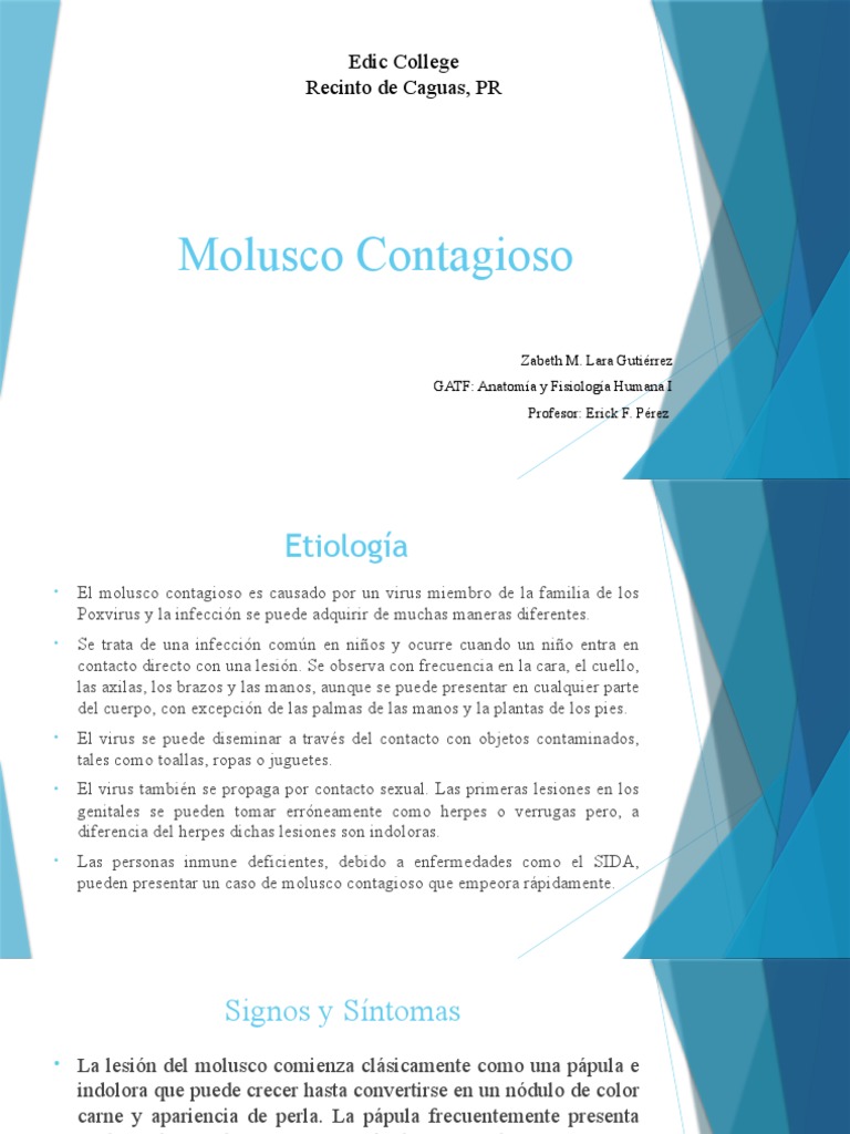 Molusco Contagioso 1 | PDF | Medicina CLINICA | Microbiología