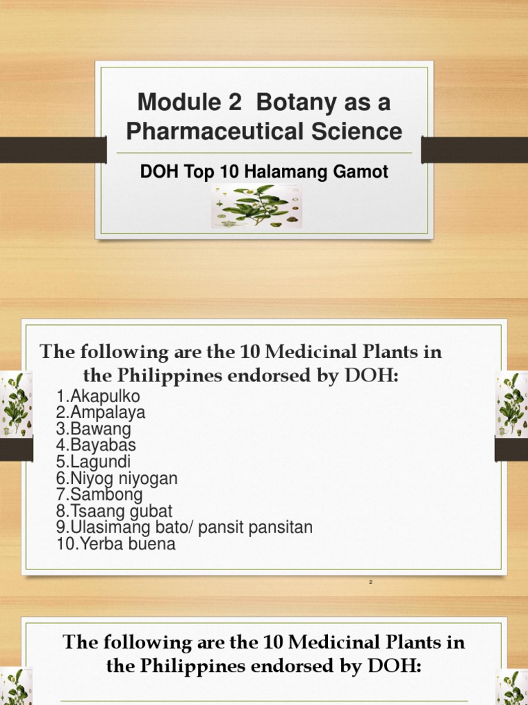 Module 2 DOH Top 10 Halamang Gamot Part 4 | PDF