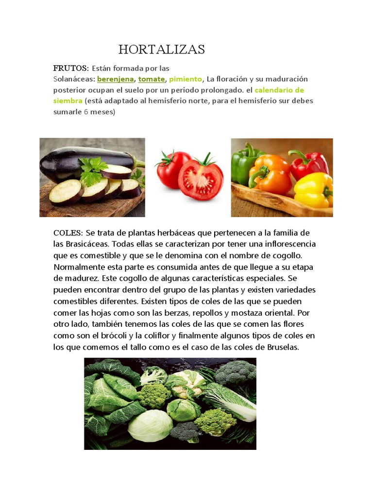 HORTALIZAS | PDF | Guisante | Tallo de la planta