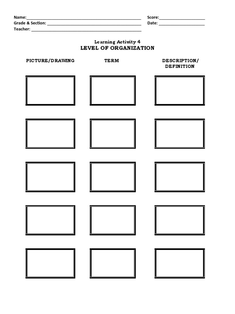 3 Level of Organization | PDF | Career & Growth