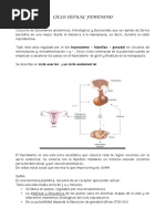 M1. Tema 4 Ciclo Ovárico Foliculogénesis | PDF | Sistema endocrino | Sistema reproductivo
