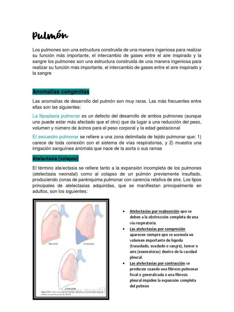 Pulmón (Patologia) | PDF | Asma | Tos