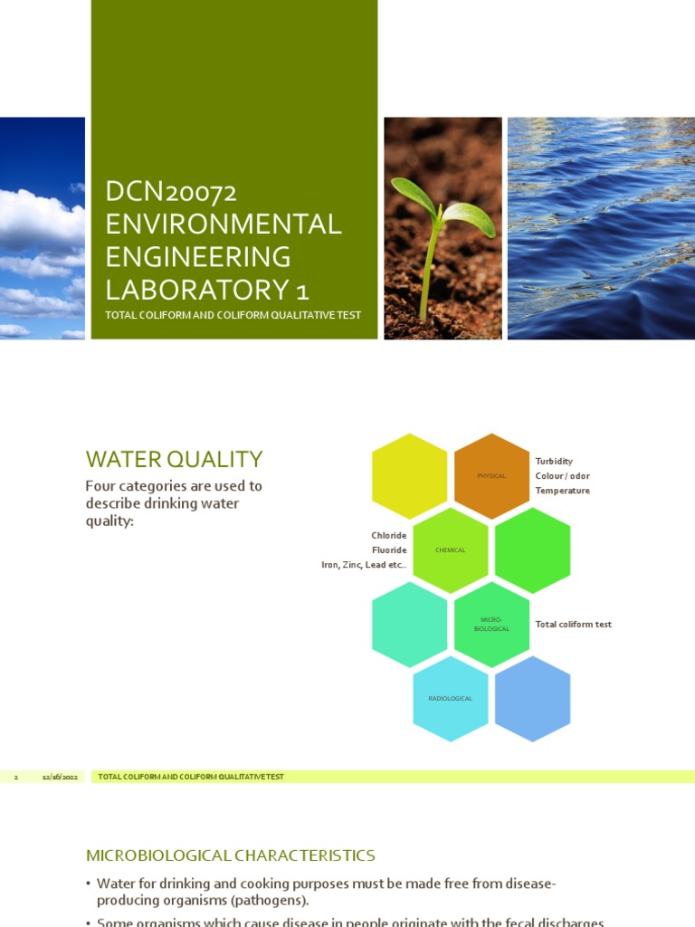 Total Coliform and Coliform Qualitative Test | PDF | Escherichia Coli ...