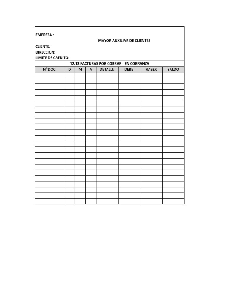 Formatos Registros Mayores Auxiliares | PDF