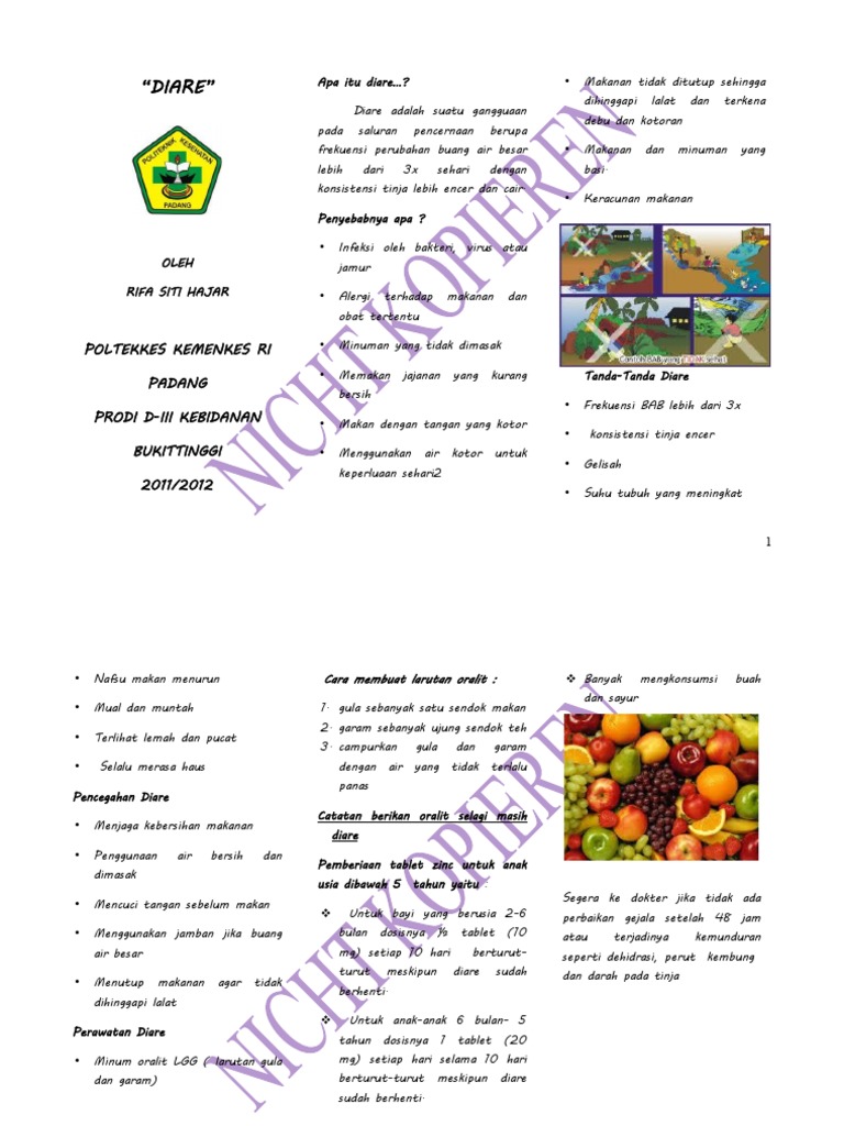 Brosur Diare | PDF