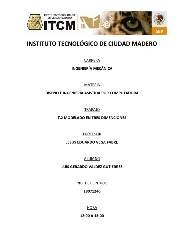 Instituto Tecnológico de Ciudad Madero (Evidencias T2) | PDF
