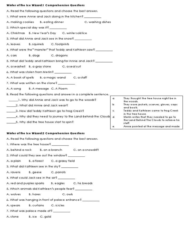 Comprehension Questions: Ice Wizard | PDF | Home & Garden