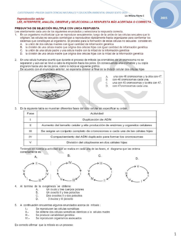 Taller Icfes 10 | PDF