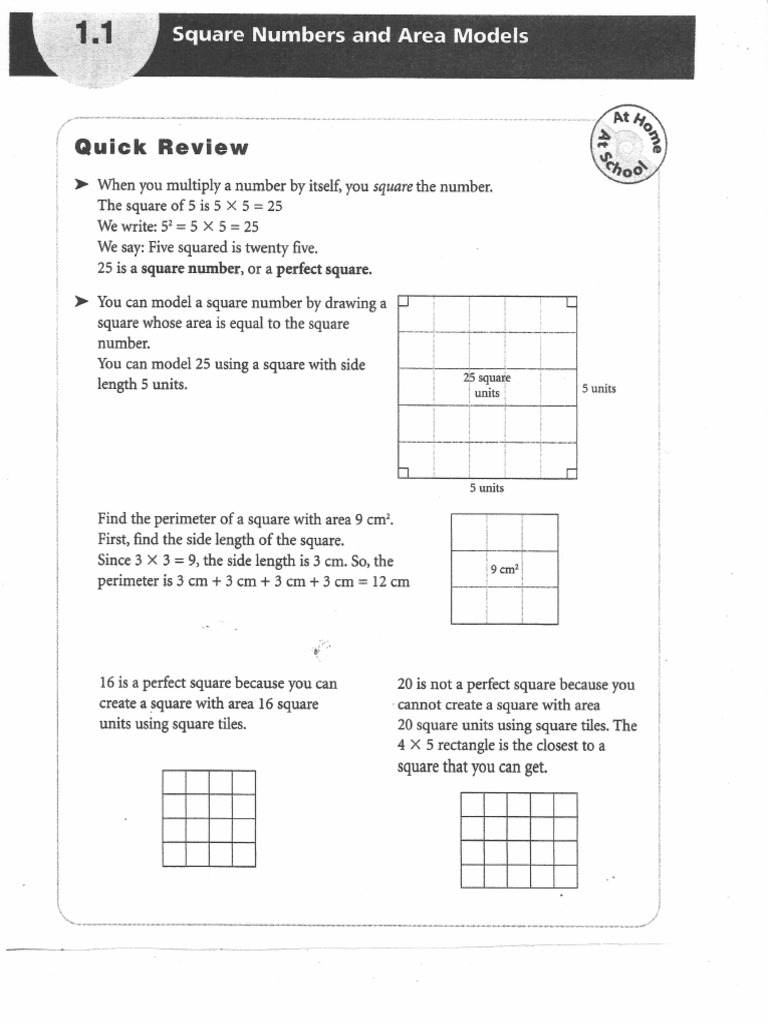 Math 8 - Unit 1 | PDF