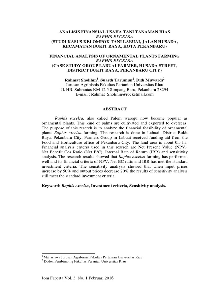 Analisis Finansial Raphis Excelsa Pekanbaru | PDF
