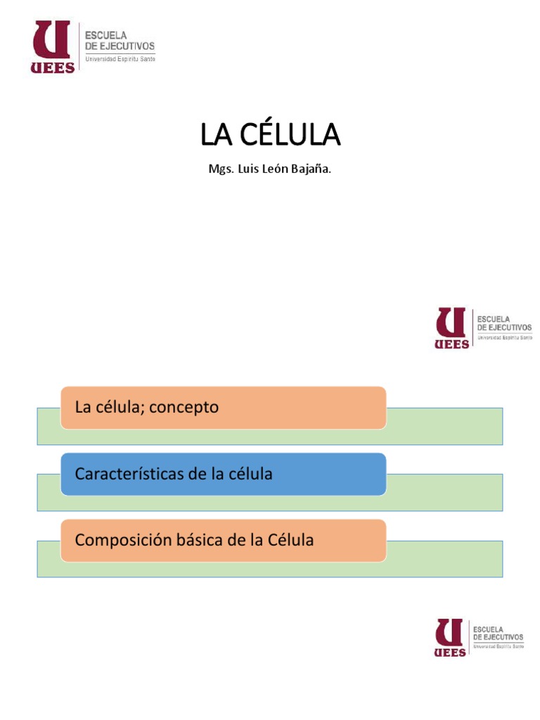La Celula | PDF
