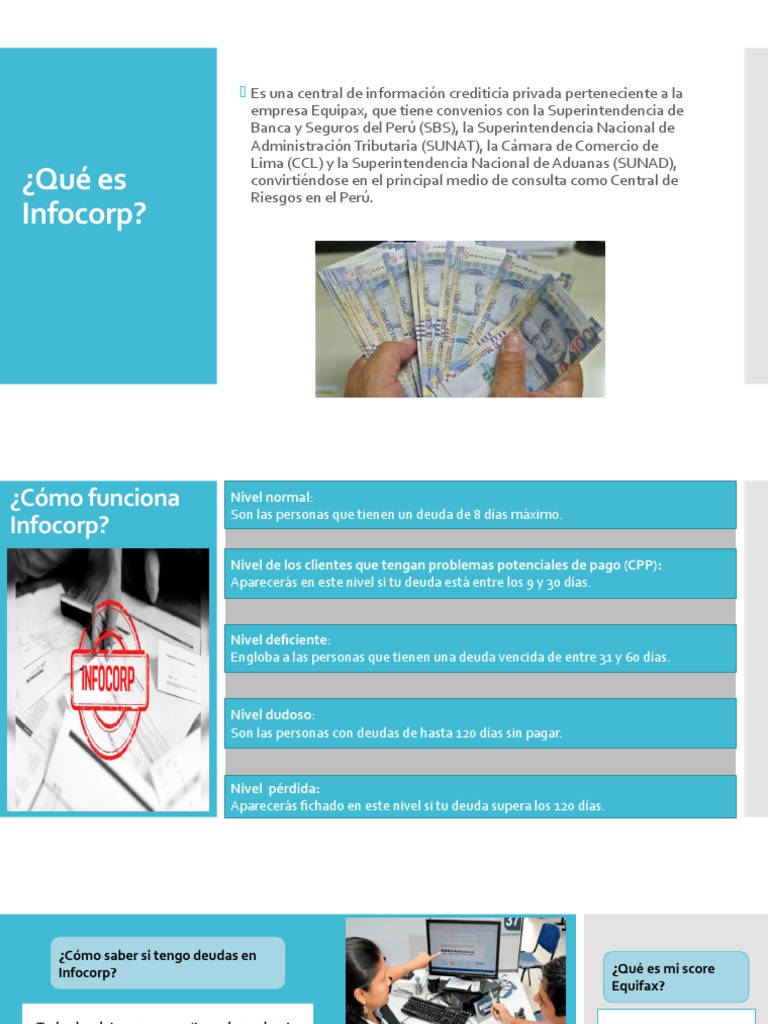 Qué es Infocorp | PDF | Deuda | Bancos