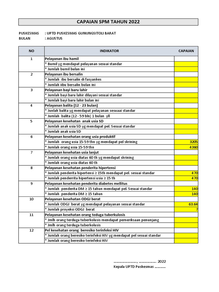 LAPORAN CAPAIAN SPM BULANAN PUSKESMAS 2022 Data Real | PDF ...