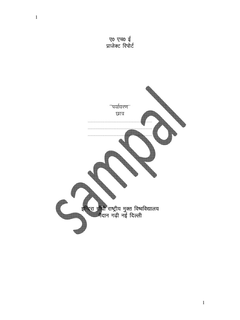 Ahe Hindi Report | PDF