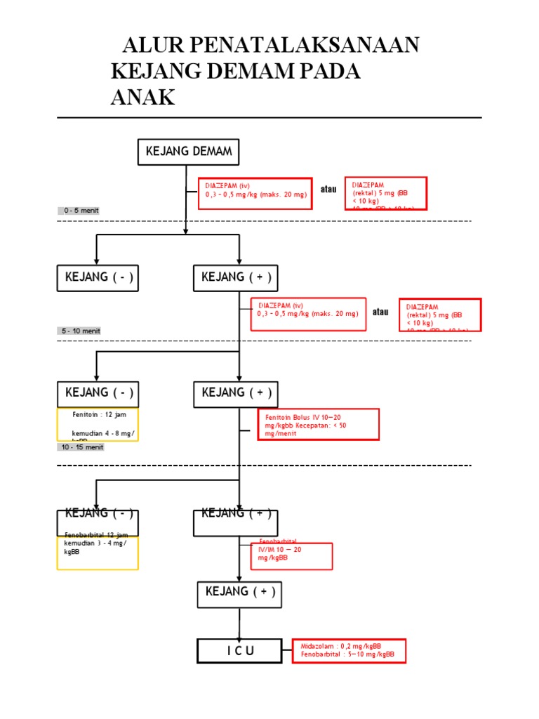 Alur Tatalaksana Kejang Demam | PDF