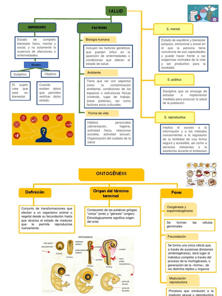 Tarea1 Mapas Conceptuales Descargar Gratis Pdf Pensamiento Sicología