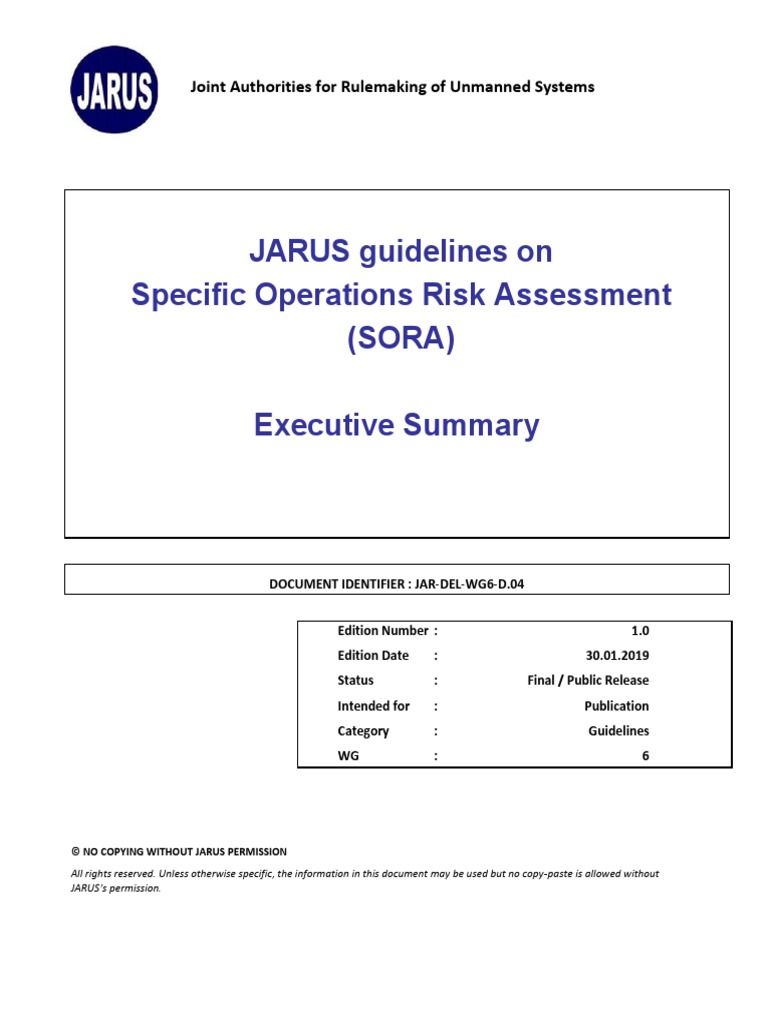 Jar Doc 06 Jjarus Sora Executive Summary | PDF | Risk | Risk Assessment