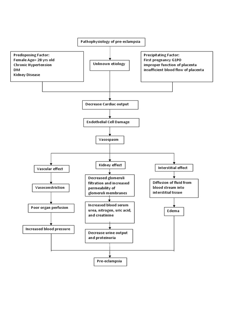 Pathophysiology | PDF