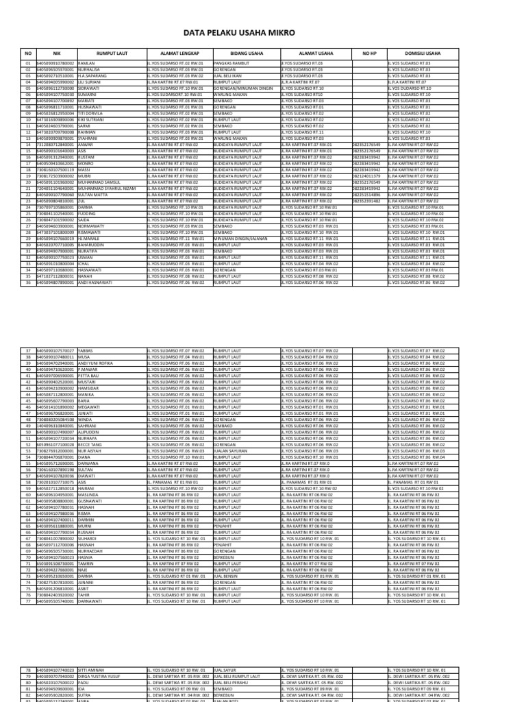 Data Usaha Mikro | PDF
