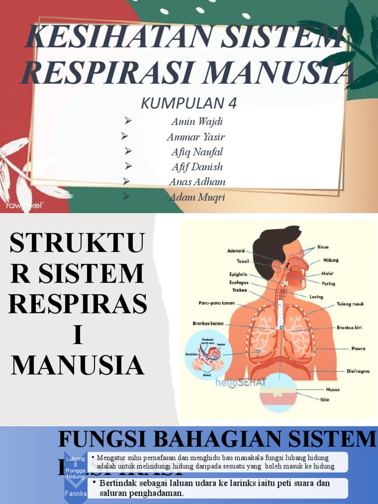 Kesihatan Sistem Respirasi Manusia | PDF