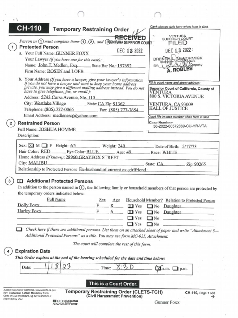 Gunner Foxx vs. Josh Homme | PDF