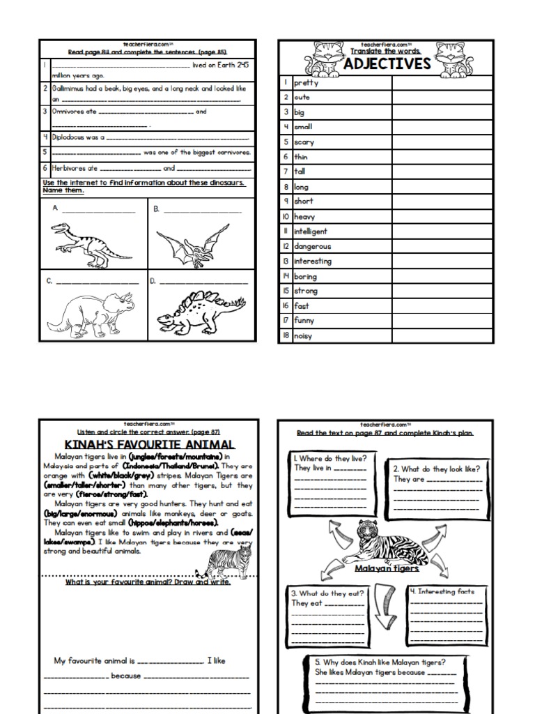 Amazing Animals | PDF