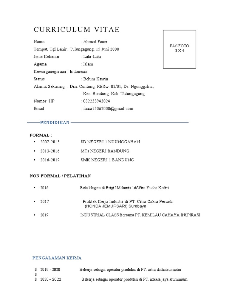 CV Ahmad Fauzi | PDF