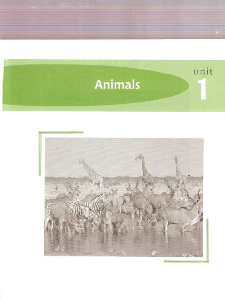 Facts and Figures 1 | PDF