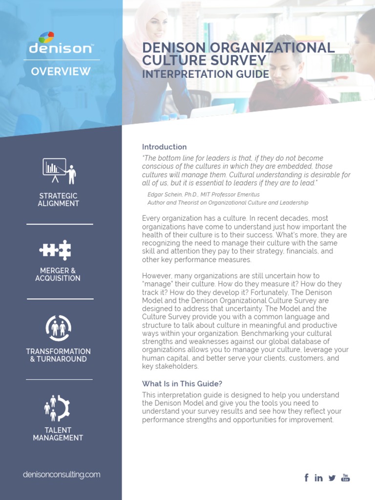 Denison Culture Interpretation Guide | PDF | Organizational Culture | Goal