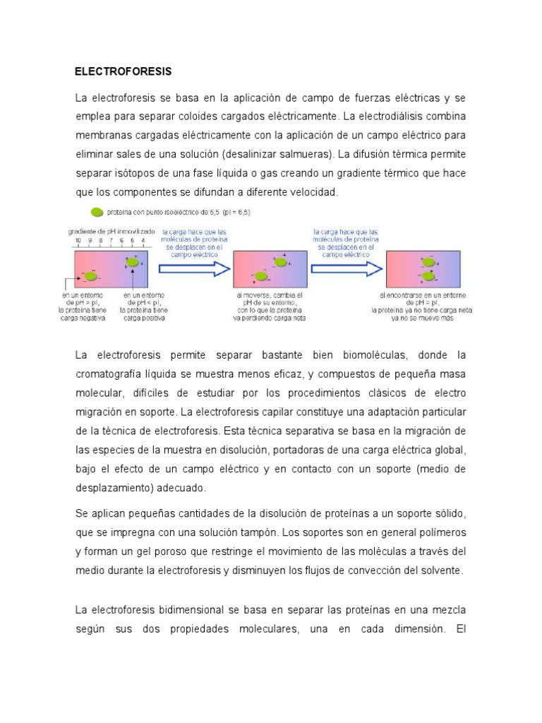 ELECTROFORESIS | PDF